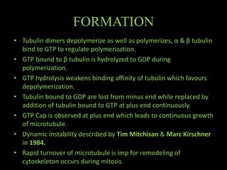 The Cytoskeleton- An overview | PPTX