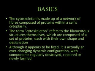 The Cytoskeleton- An overview | PPTX