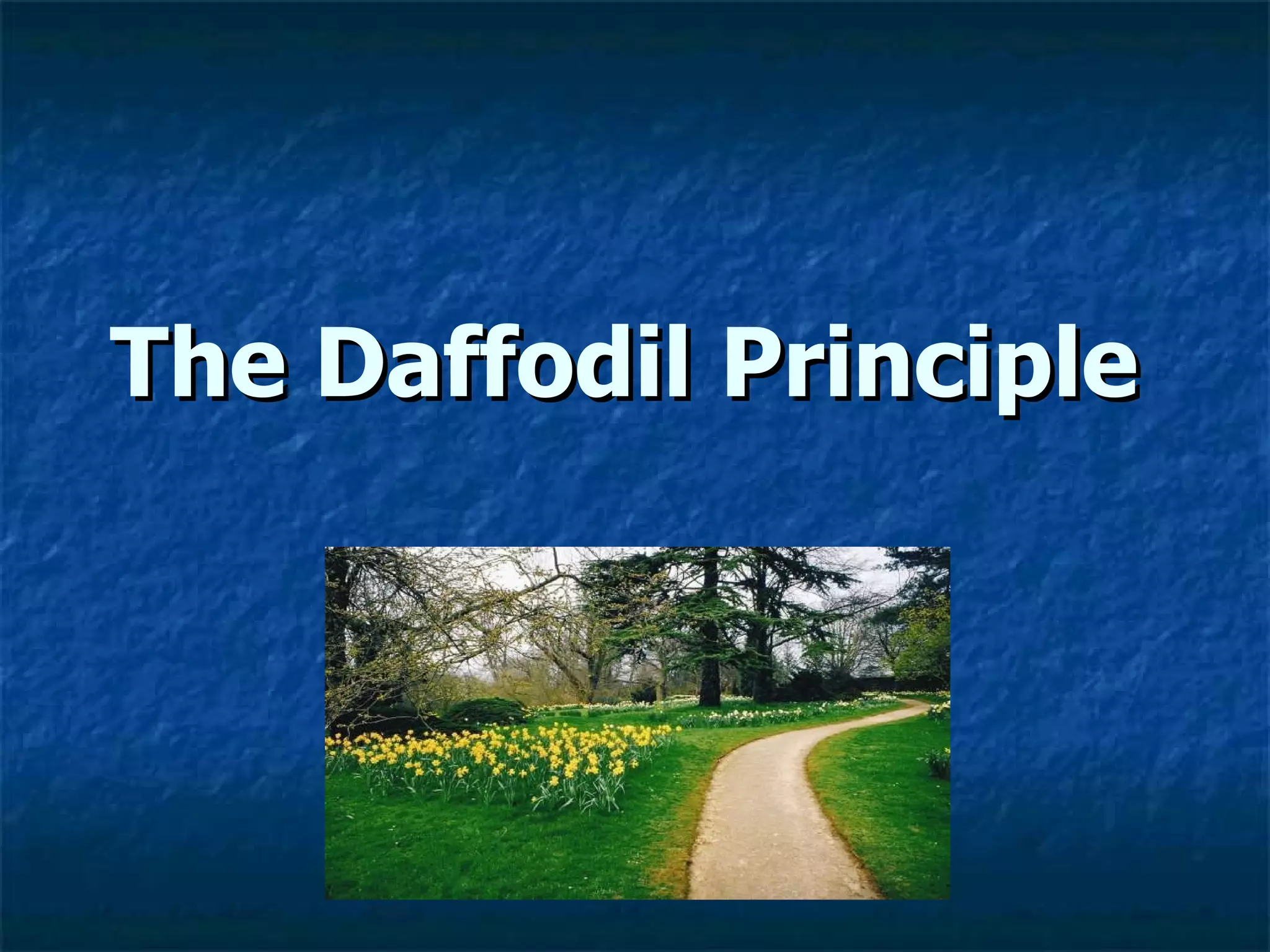 The Daffodil Principle | PPS | Gardening | Home & Garden