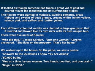 The Daffodil Principle | PPS
