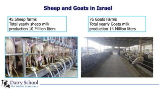 The dairy industry in israel achievements and challenges | PPTX