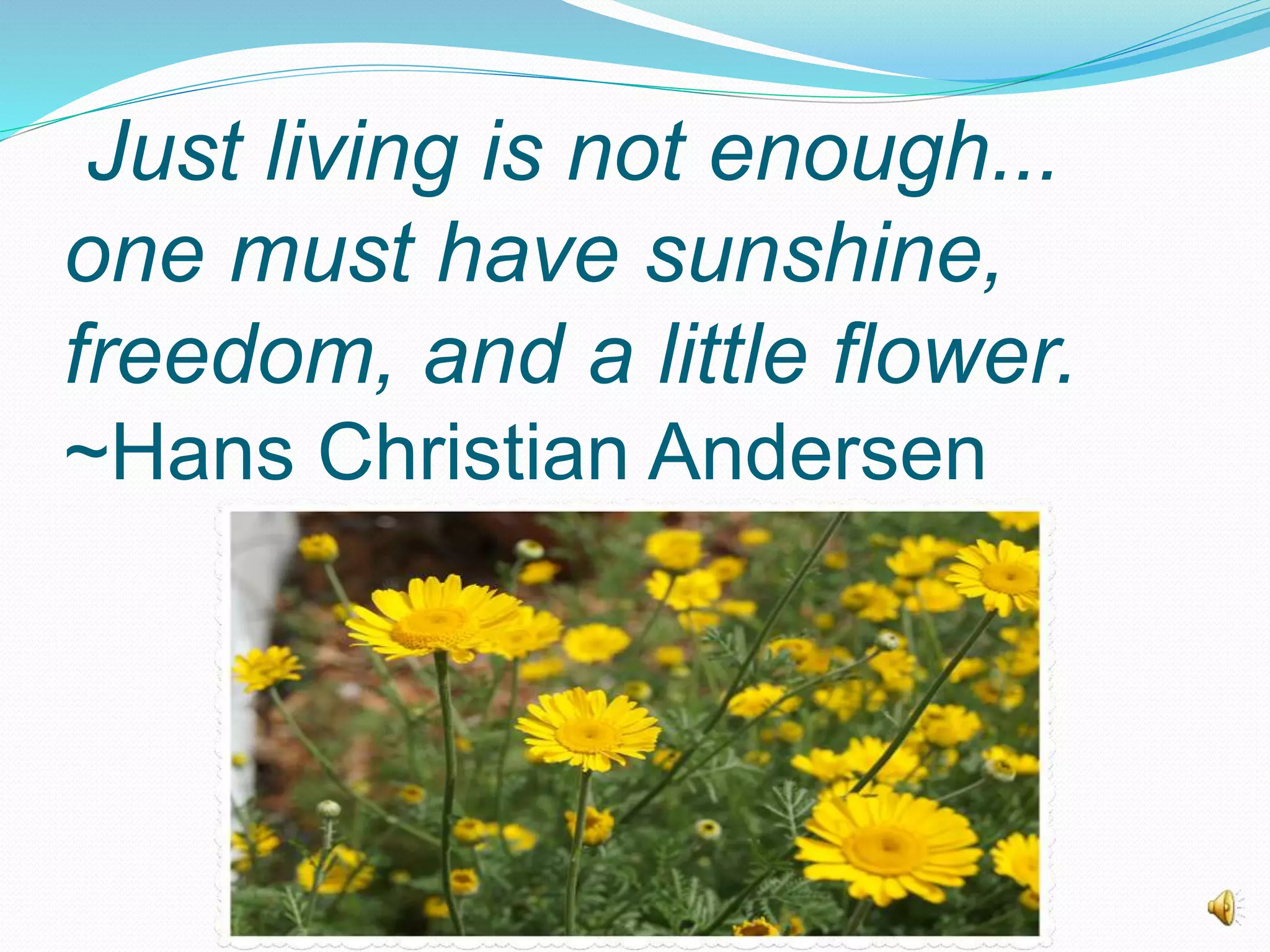 The daisy rs1-xii | PPT