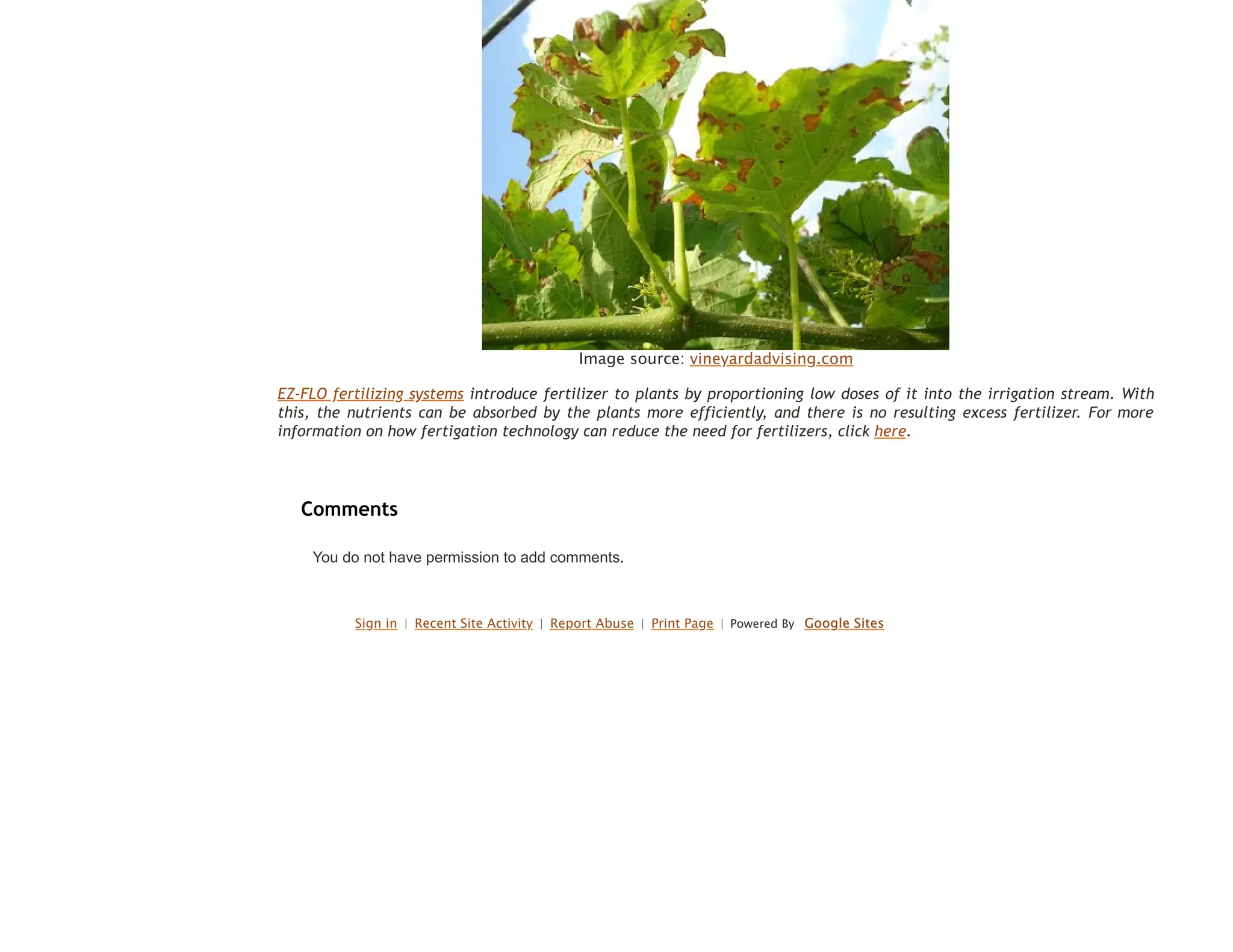 The danger of excess fertilizer | PDF