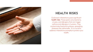 The Dangers of Cockroach Infestation and How to Eliminate Them.pdf ...