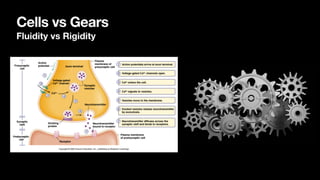Method Swizzling with Objective-C | PPT