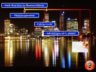 The dark reaction of photosynthesis in plants | PPTX