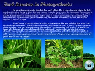The dark reaction of photosynthesis in plants | PPTX