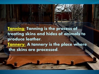 Water pollution due to tannery in Dhaka city,Bangladesh | PPT