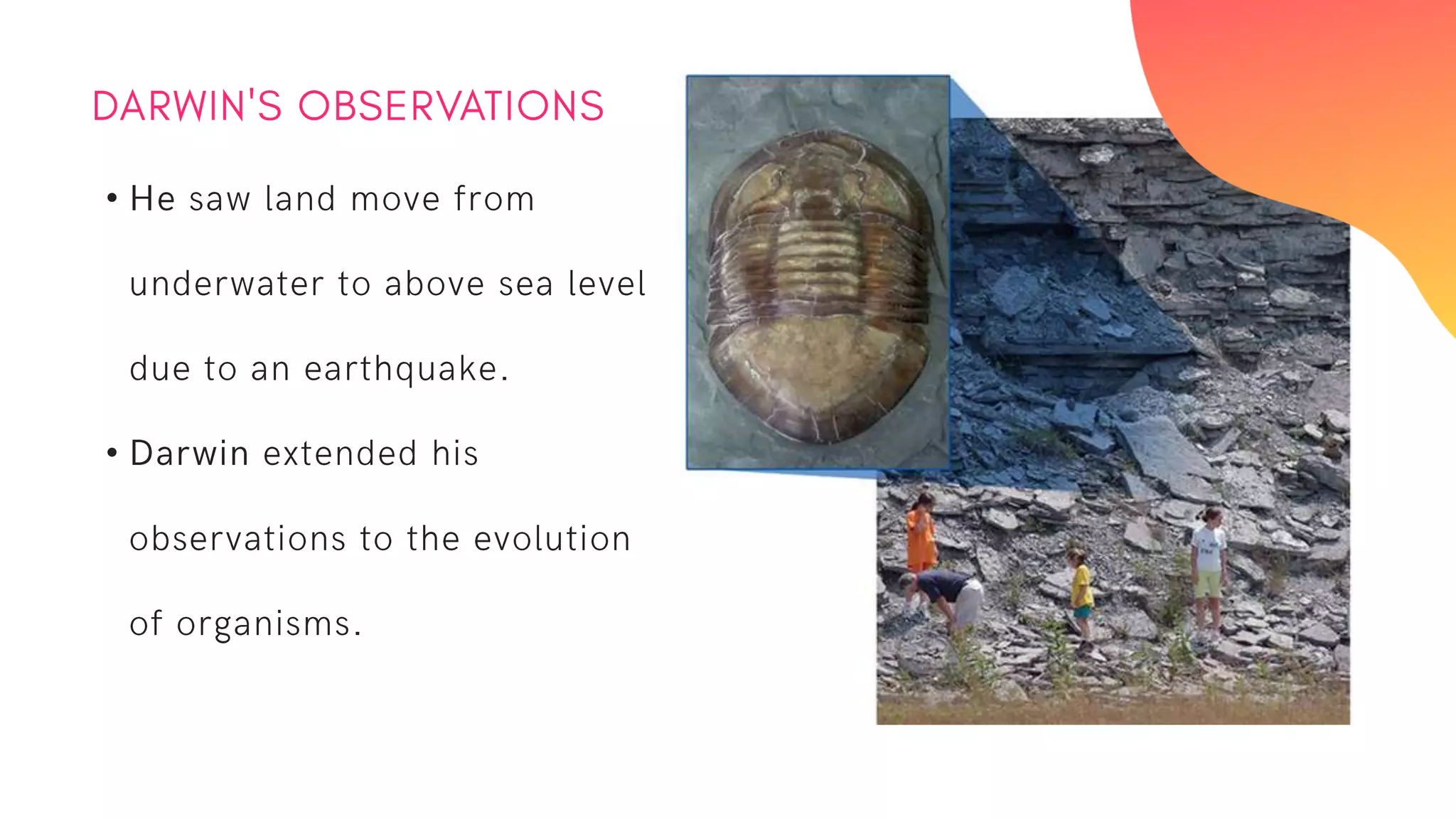 The Darwinian Revolution | PPTX