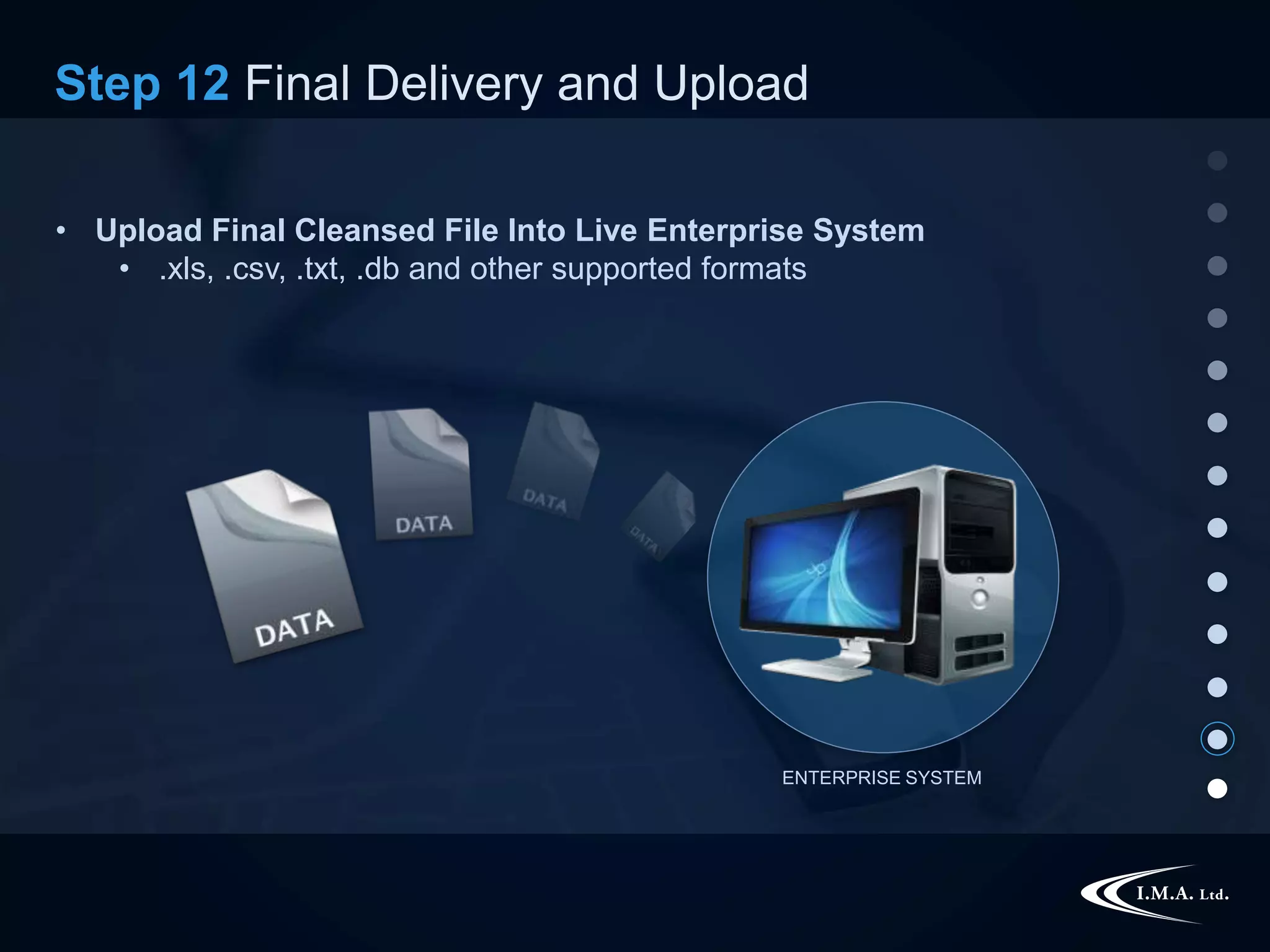 The Data Cleansing Process - A Roadmap to Material Master Data Quality | PPTX