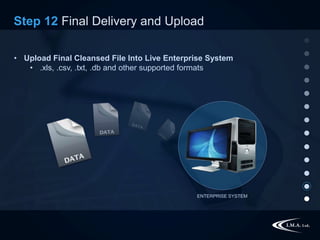 The Data Cleansing Process - A Roadmap to Material Master Data Quality ...