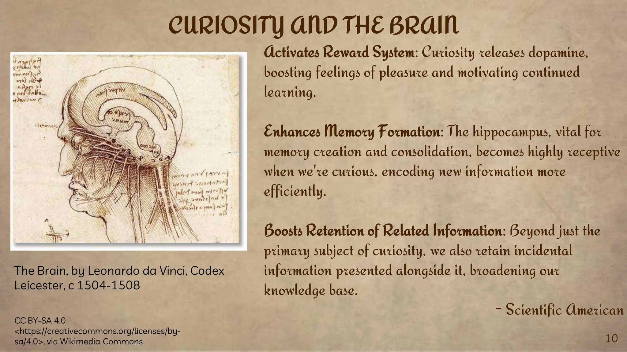 The da Vinci Curiosity Cycle.pptx