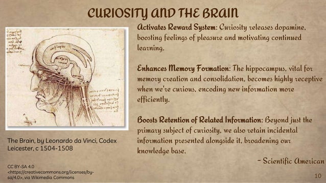 The da Vinci Curiosity Cycle.pptx | Free Download