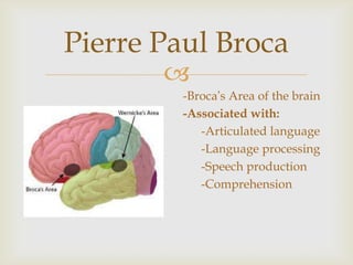 The dawn of psychology after WWI (AP Euro) | PPT