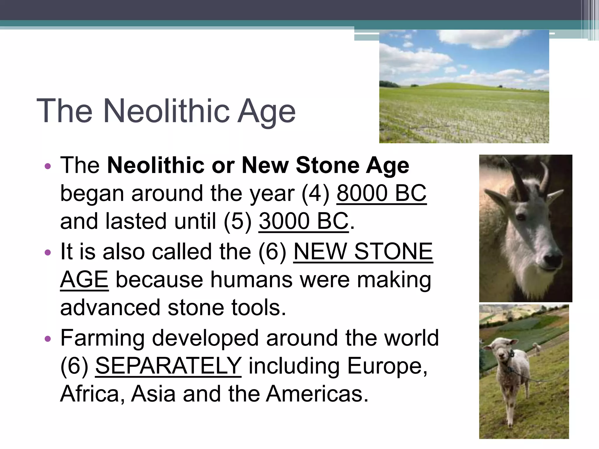 Dawn of the Neolithic Age | PPT