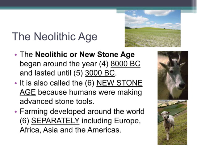 Dawn of the Neolithic Age | PPT