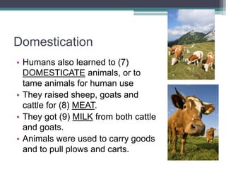 Dawn of the Neolithic Age | PPT