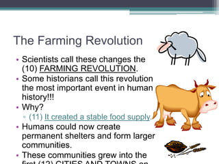 Dawn of the Neolithic Age | PPT