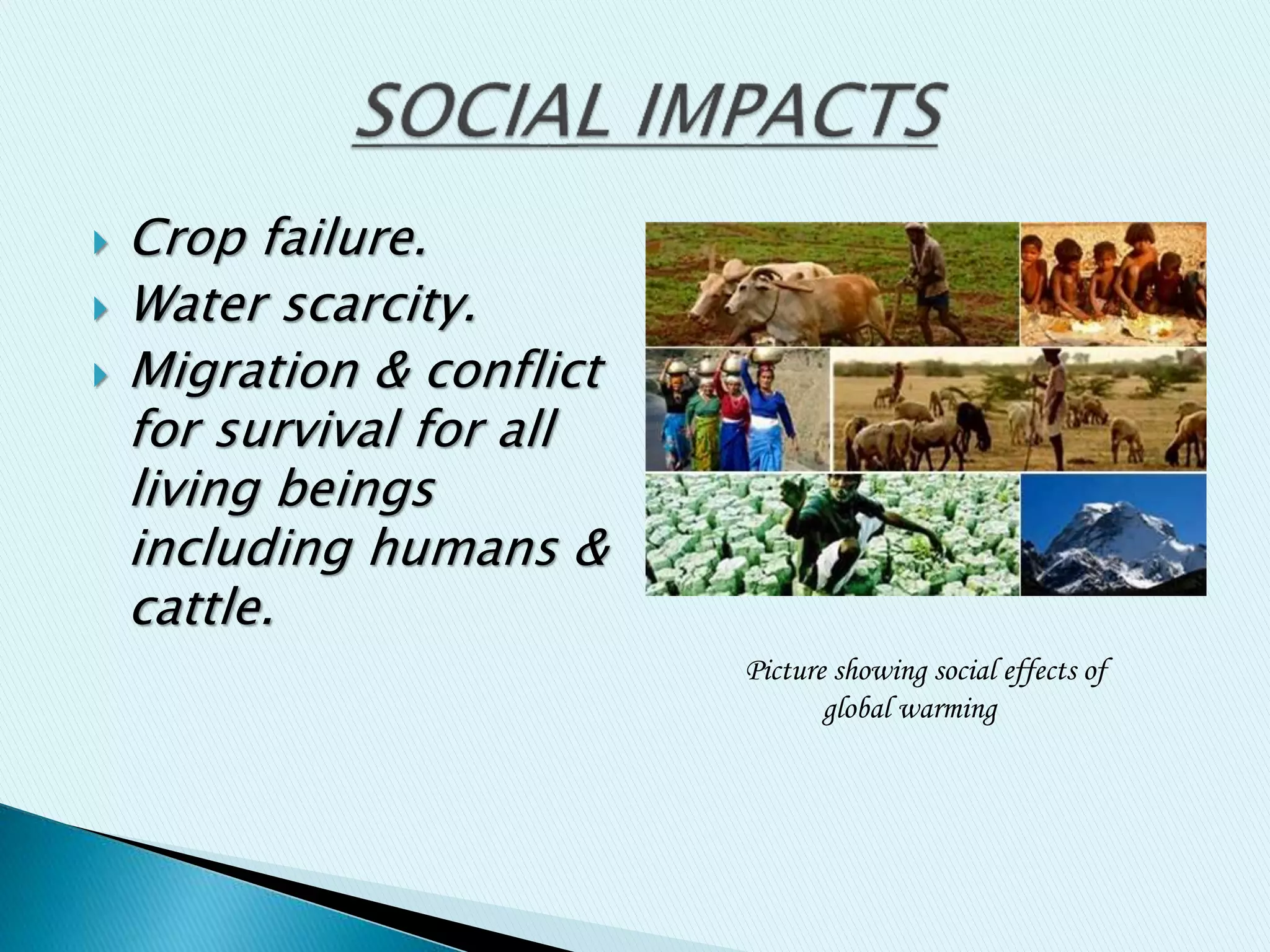 THE DAY AFTER TOMORROW : IMPACT OF GLOBAL WARMING ON SOCIETY | PPTX