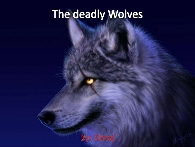 The deadly wolves divraj