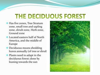 The deciduous | PPTX
