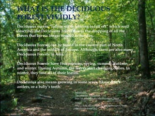 The Deciduous Forest | PPTX | Gardening | Home & Garden