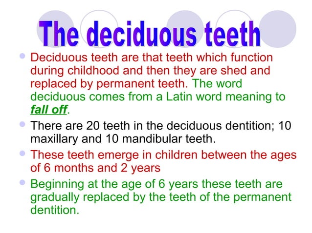 07. The Deciduous Teeth - Dentition | PPT | Dental Health | Diseases ...