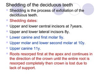 07. The Deciduous Teeth - Dentition | PPT