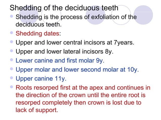 07. The Deciduous Teeth - Dentition | PPT | Dental Health | Diseases ...
