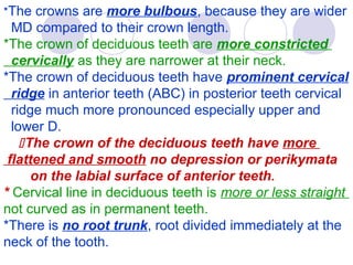 07. The Deciduous Teeth - Dentition | PPT