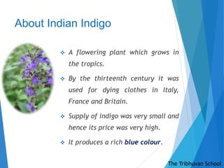 The Demand for Indian Indigo during British period | PPTX