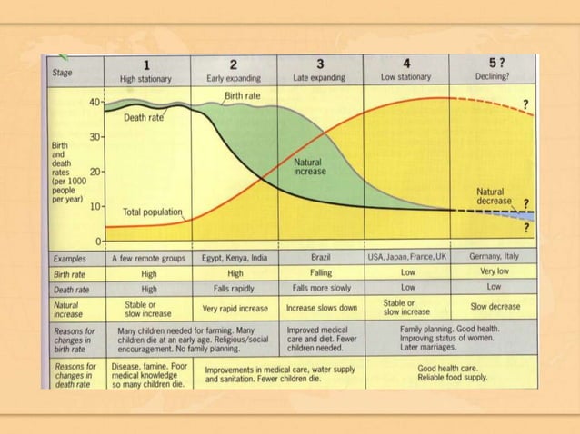 The Demographic Transition Model | PPTX | Geography | Science