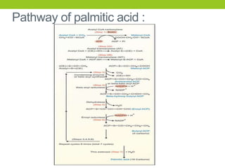 The de novo synthesis of fatty acid | PPTX