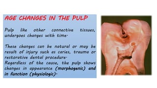The dental pulp periradicular tissues 2.pdf