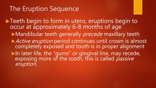The dentition,eruption sequence,functions ,line point angles,oral ...