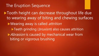 The dentition,eruption sequence,functions ,line point angles,oral ...