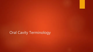 The dentition,eruption sequence,functions ,line point angles,oral ...