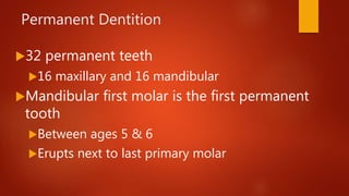 The dentition,eruption sequence,functions ,line point angles,oral ...