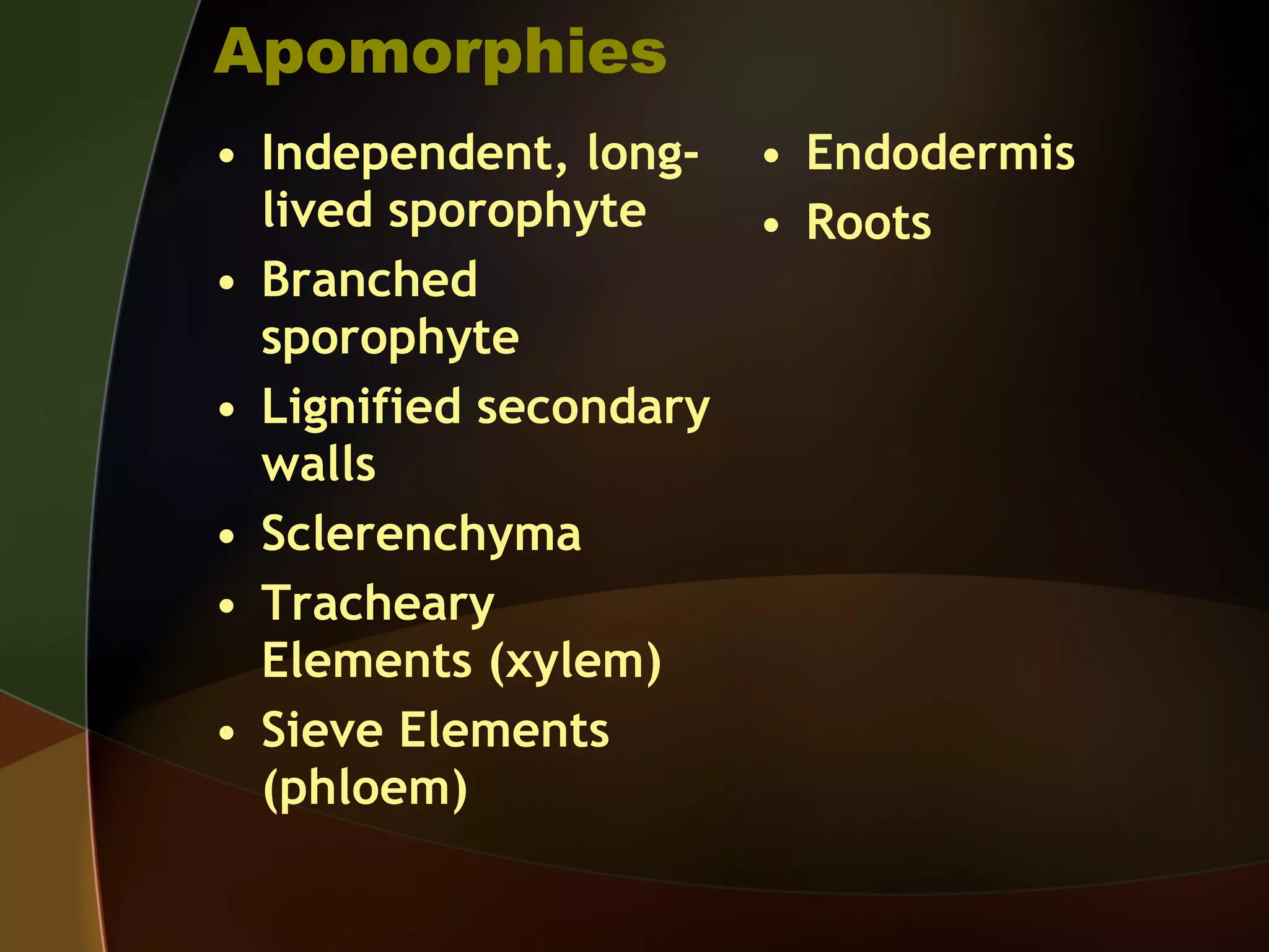 The descent with modification | PPT