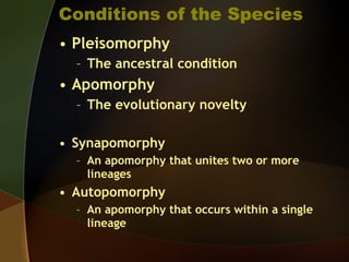 The descent with modification | PPT