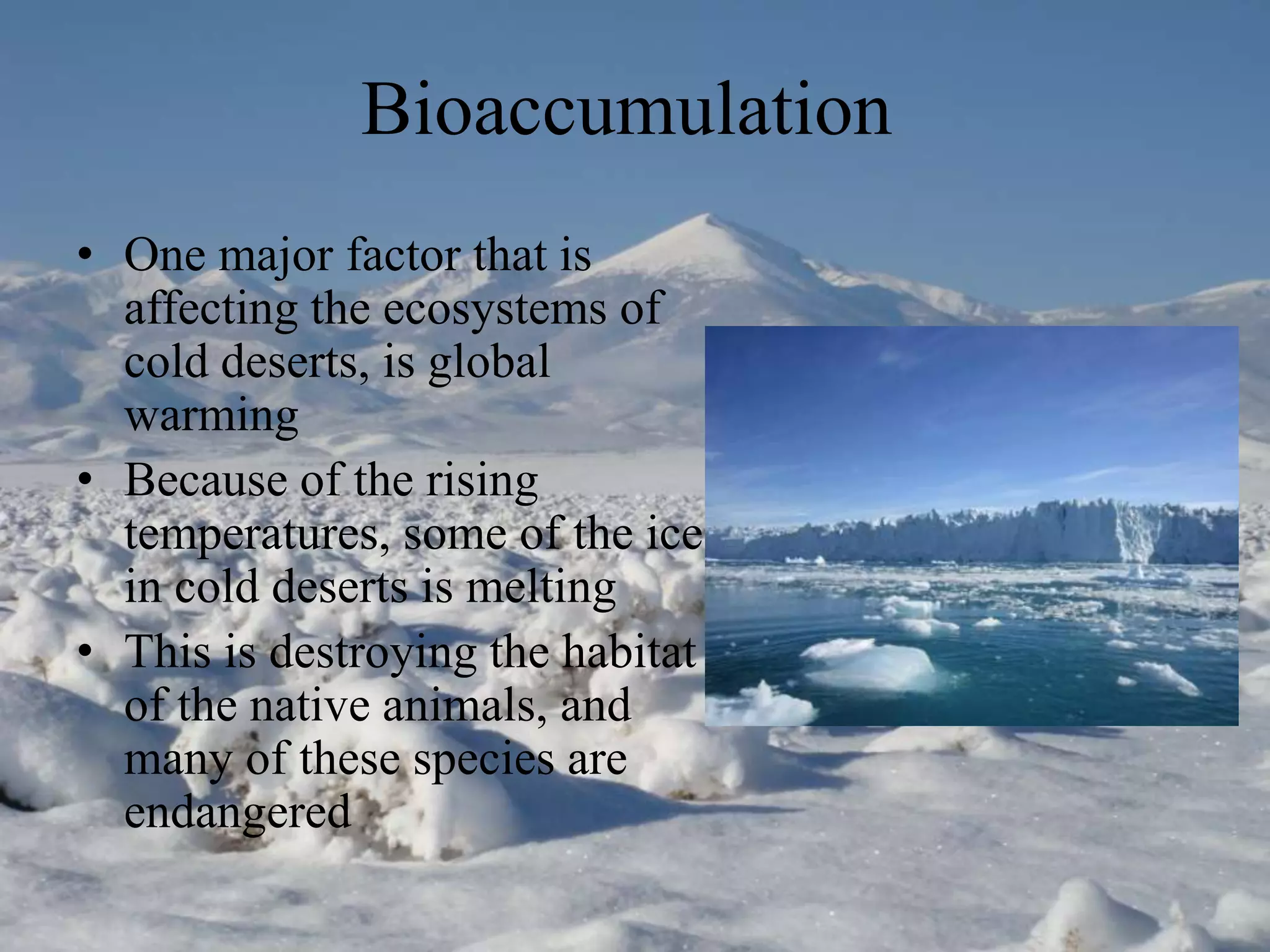 The Desert Biome | PPT