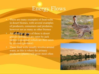 The Desert Biome | PPTX | Reptiles | Pets