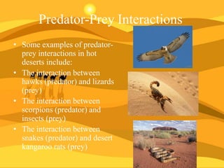 The Desert Biome | PPTX | Reptiles | Pets