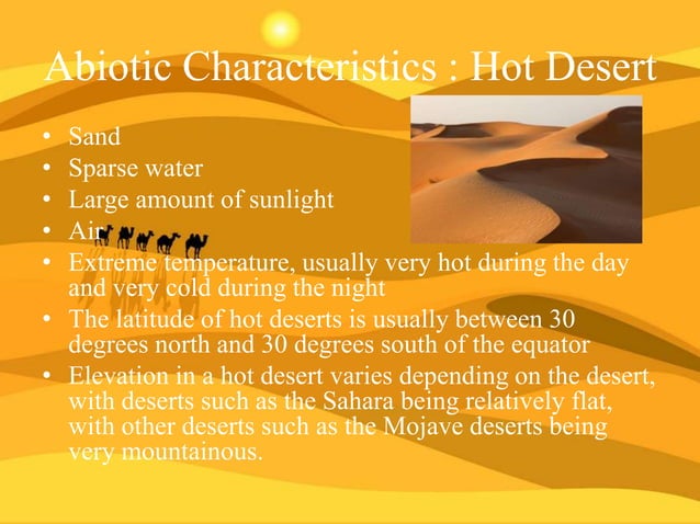 The Desert Biome | PPT