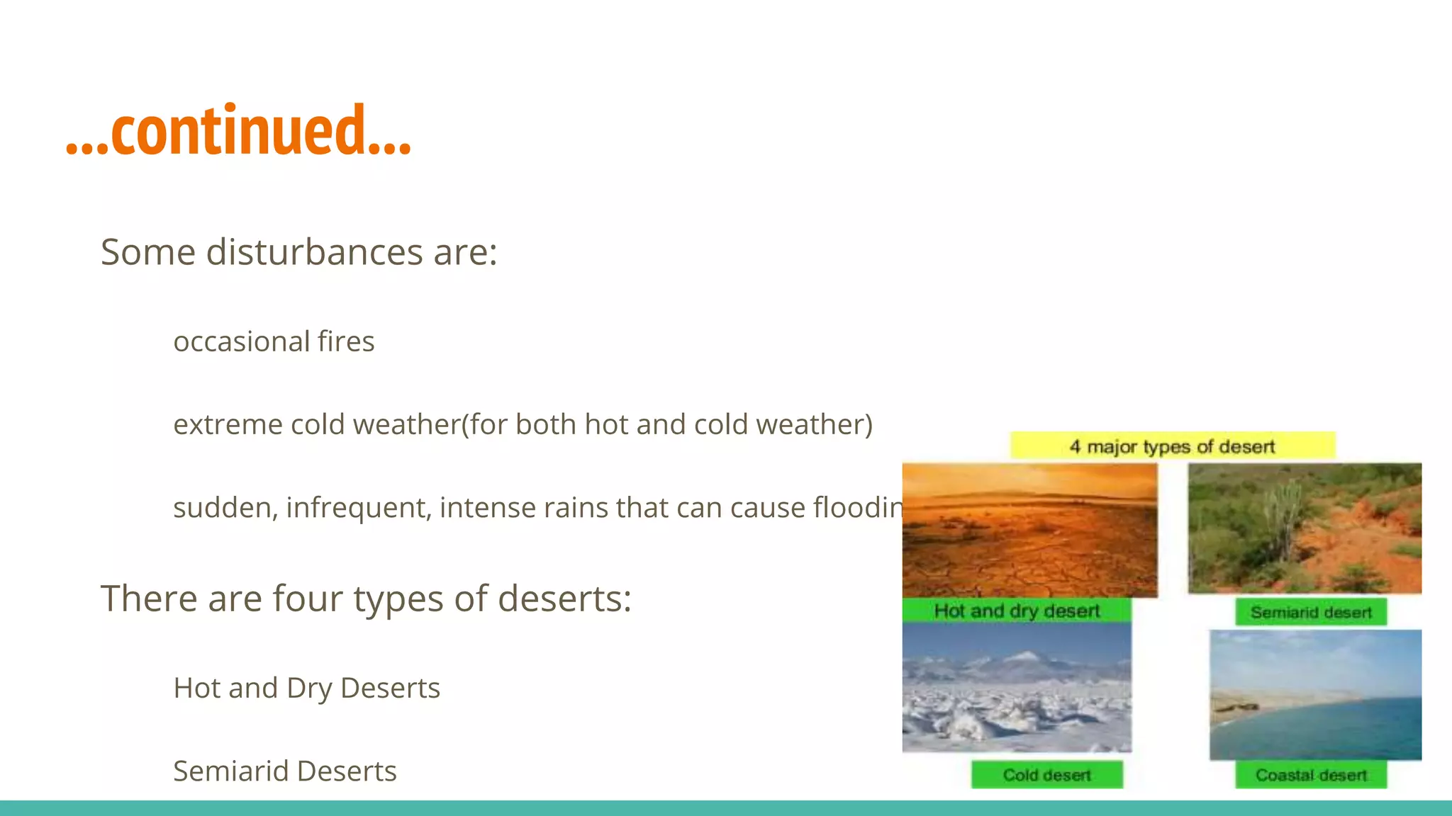 The Desert Biome | PPTX