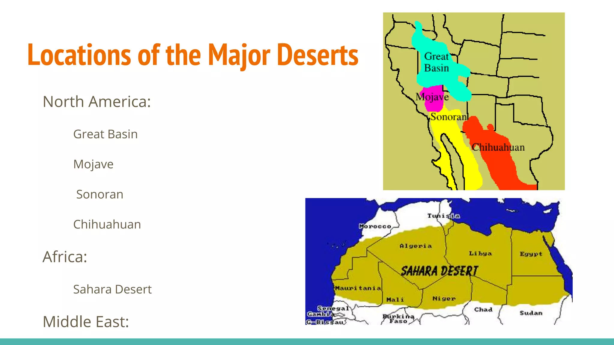 The Desert Biome | PPTX
