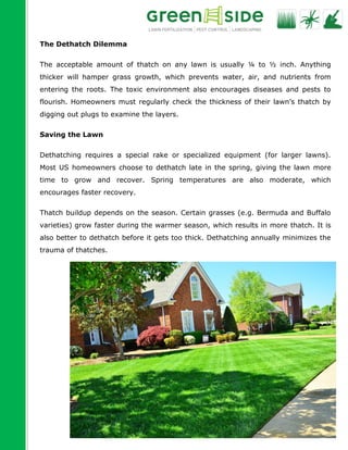 The Dethatch Dilemma: When Enough is Enough in Lawn Care | PDF