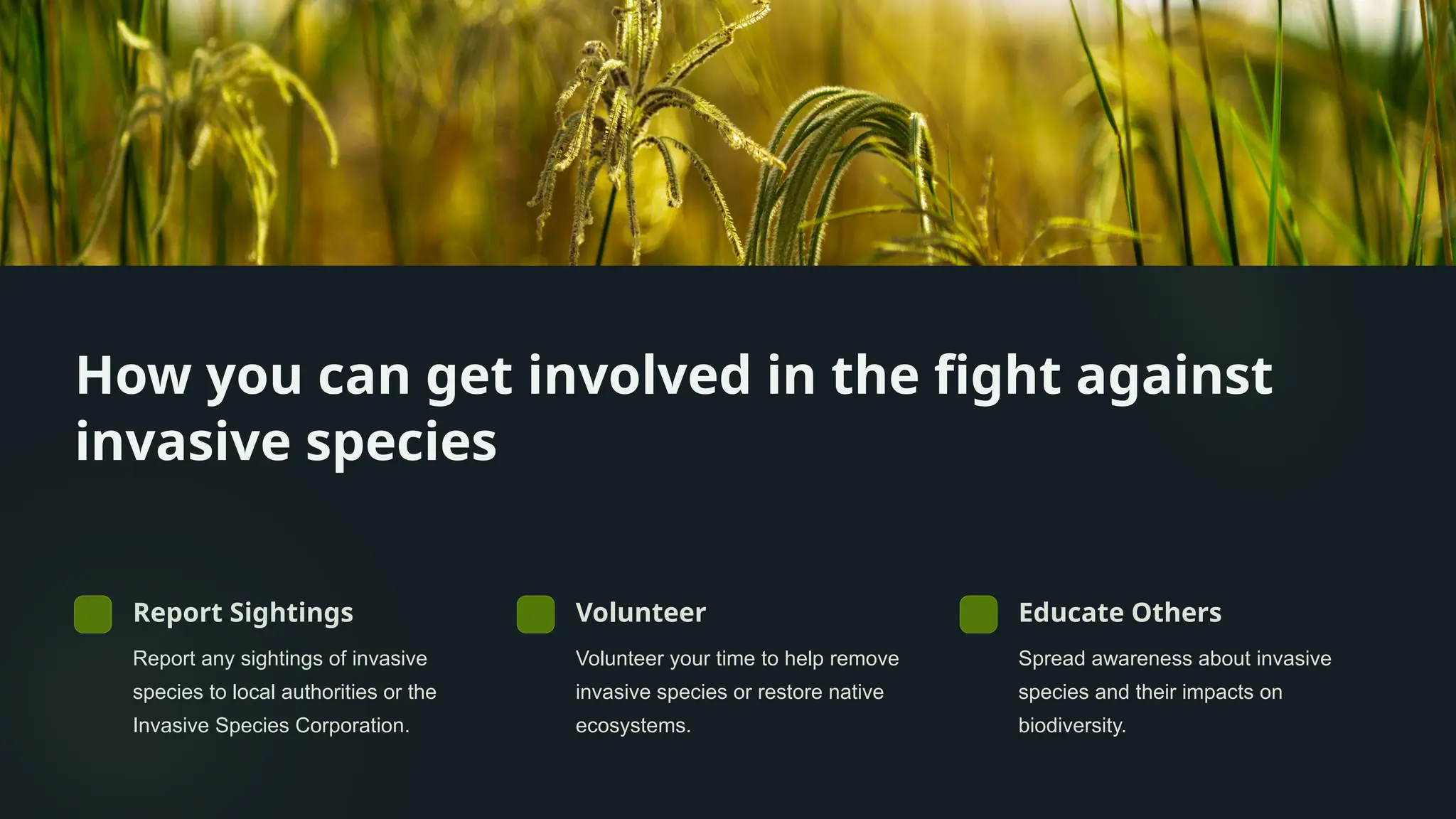 The Devastating Effect of Invasive Species on Biodiversity.pptx