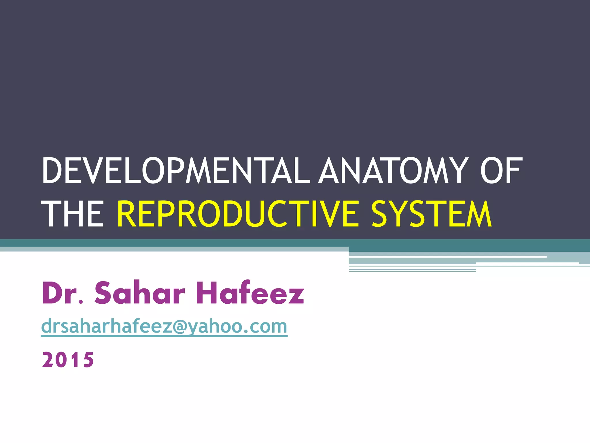The developmental anatomy of reproductive system | PDF