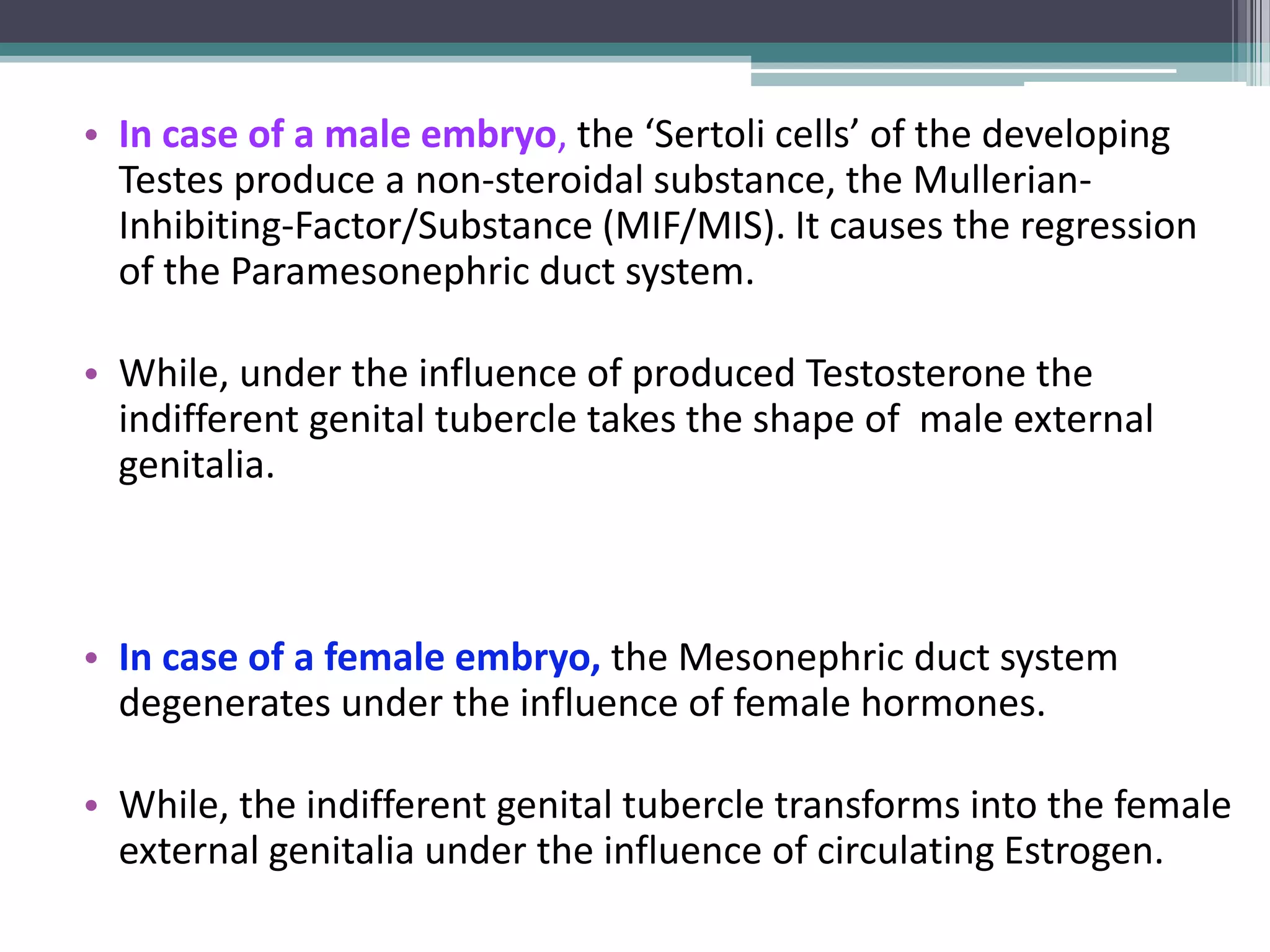 The developmental anatomy of reproductive system | PDF